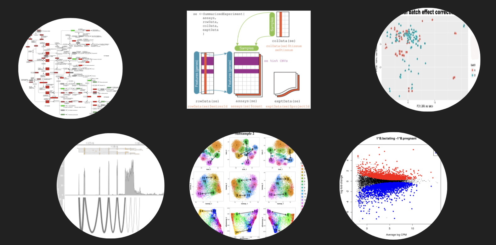 Bioconductor: Increasing the Value of Public Data with Software and ...